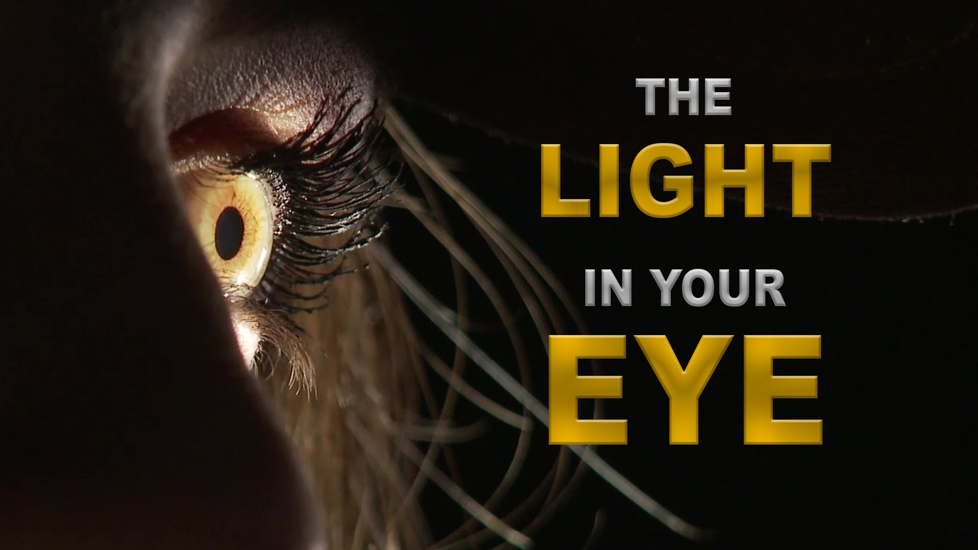 Mastering Eye Lights | Moviola Mastering Eye Lights | Moviola
